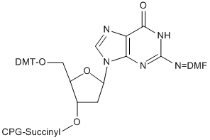 5'-DMT-dG(DMF)-Suc-CPG; 1000 -10485 | LGC Biosearch Technologies