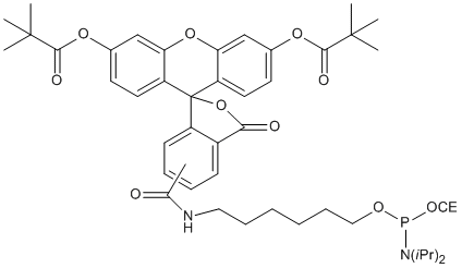 (5 and 6)-FAM, Mixed Isomers (5 and 6-CarboxyFluorescein-Aminohexyl ...