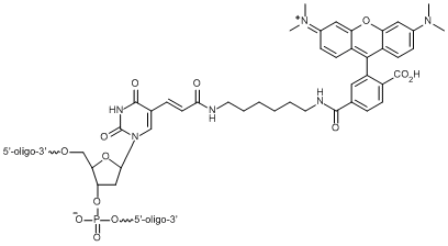 T(TAMRA); Internal Modification-10695 | LGC Biosearch Technologies