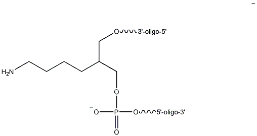 Amino C7 | LGC Biosearch Technologies