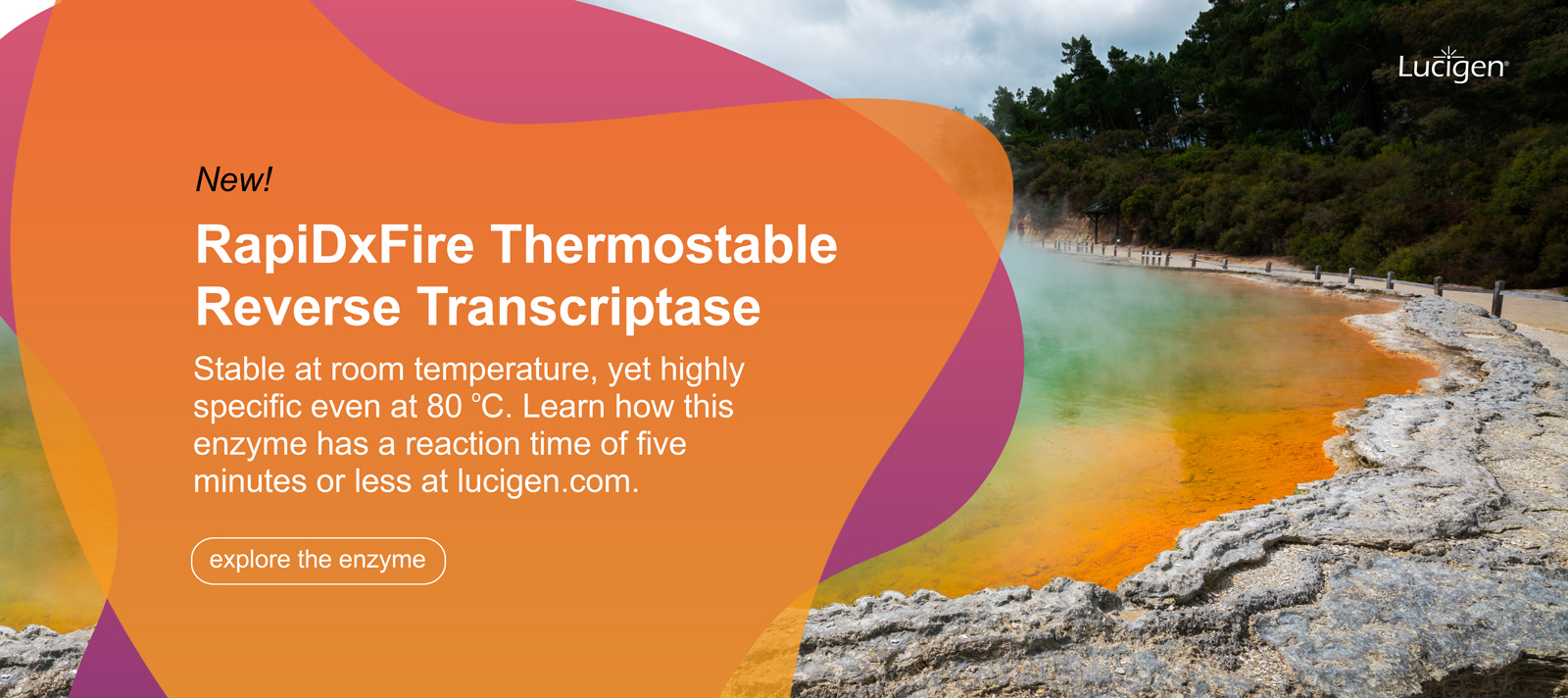 Home | LGC Biosearch Technologies